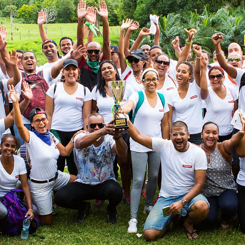 Catapult Building Challenge - Best Team Game and Activity for Employees