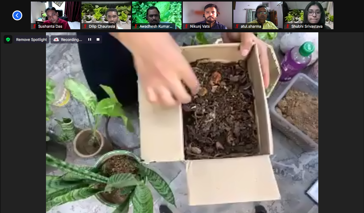 Virtual DIY Gardening Workshop Activities Ideas For World Environment ...